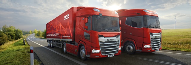 Efficiency - DAF Countries